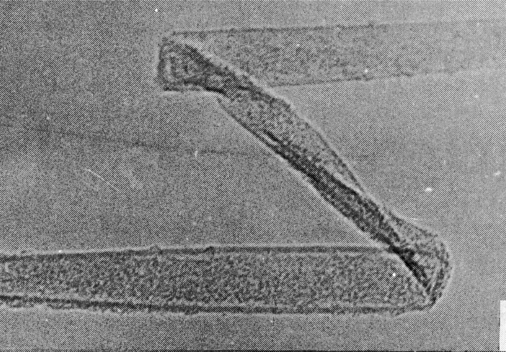 Carbon nanotubes – Physics World