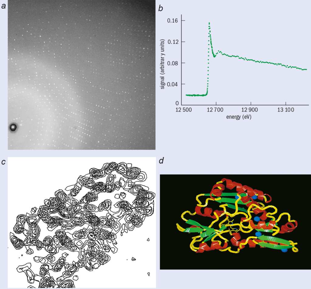 Protein crystallography: the human genome in 3-D – Physics World