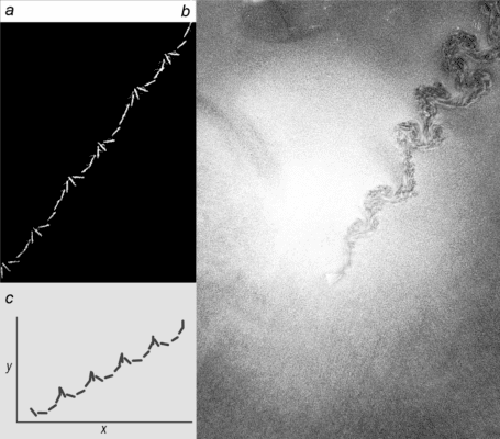 Flutter and tumble in fluids – Physics World