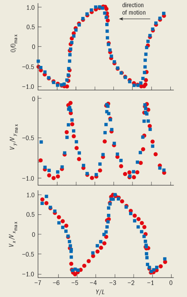 Flutter and tumble in fluids – Physics World