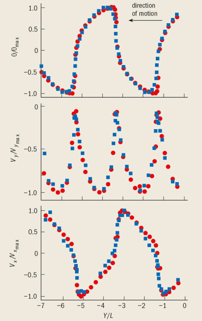 Flutter and tumble in fluids – Physics World