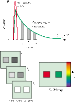 Biomedical optics – Physics World
