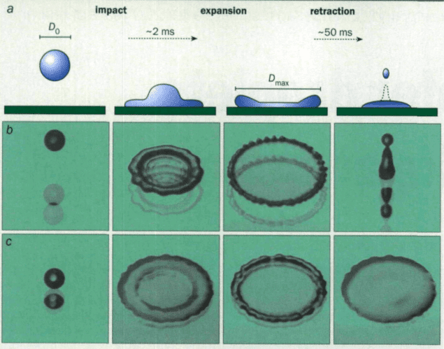 Water droplets make an impact – Physics World