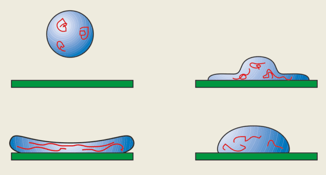 Water droplets make an impact – Physics World