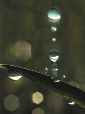 Water droplets make an impact – Physics World