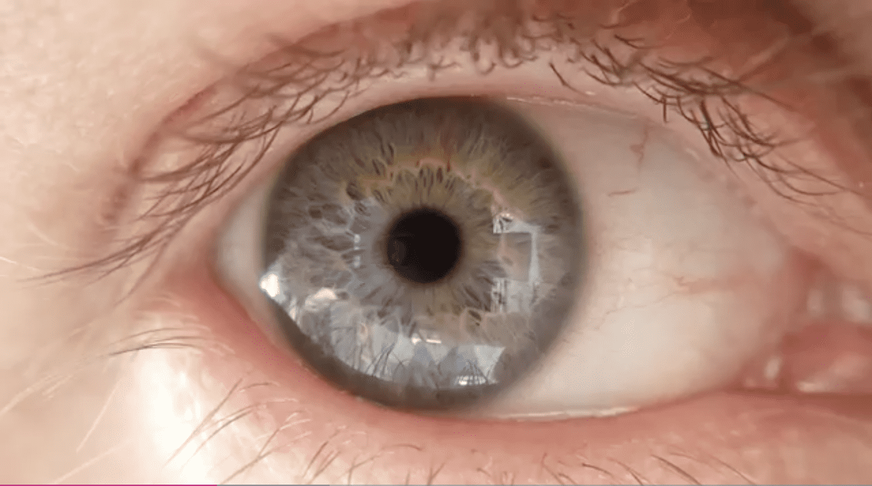 Living in a world without light – Physics World