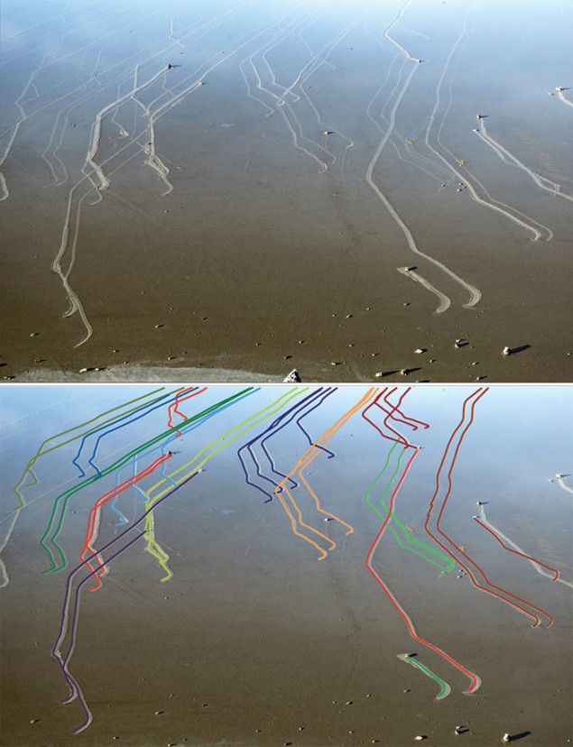 The restless rocks of Racetrack Playa – Physics World