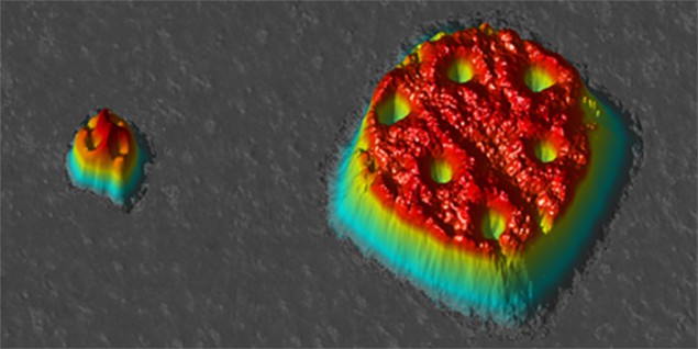 Flash Physics: Shock-absorber proteins, US–Australian particle physics ...