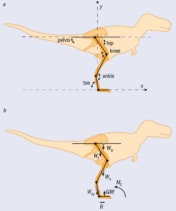 Deducing how dinosaurs moved – Physics World