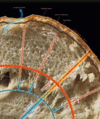 The physics of bread – Physics World