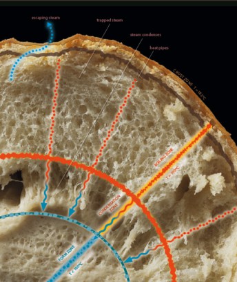 The physics of bread – Physics World