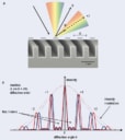 A flower’s nano-powers – Physics World
