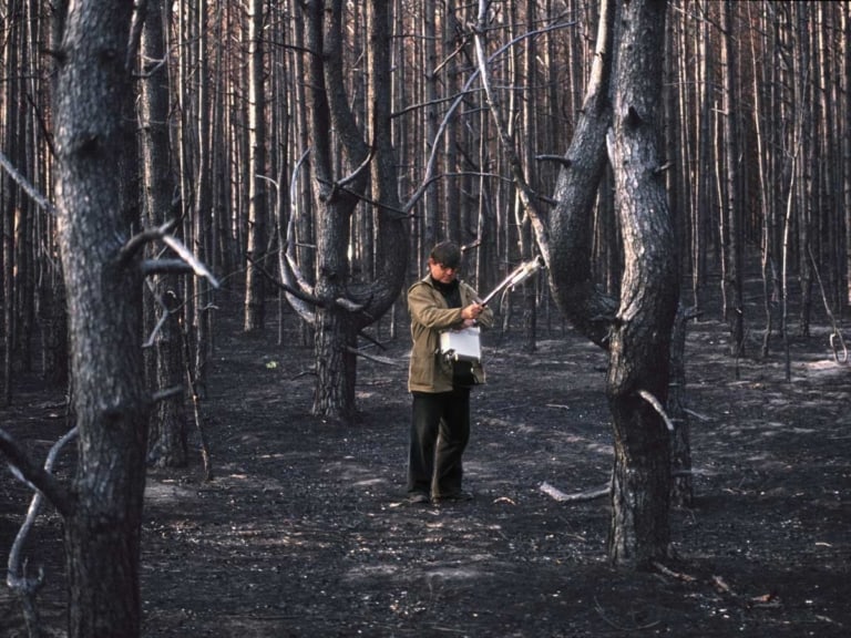 Chernobyl’s hidden legacy – Physics World