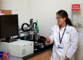 Liver-on-a-chip assesses drug toxicity – Physics World