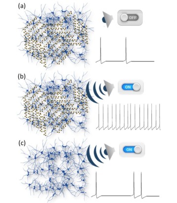 Nanoparticles and ultrasound stimulate neural networks – Physics World