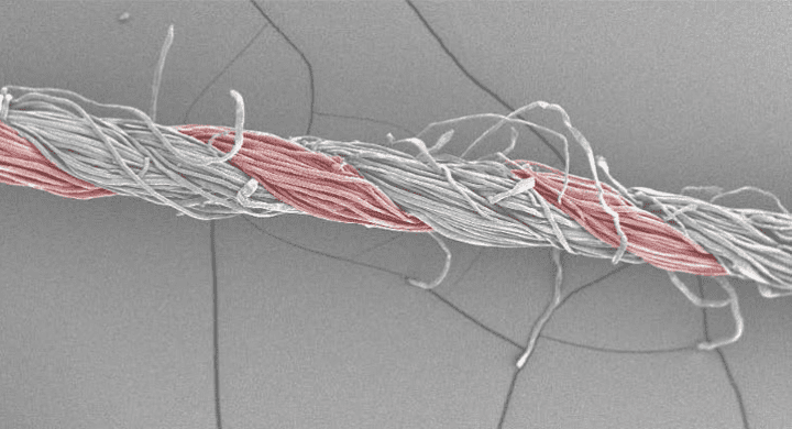 Cotton yarn flexes its muscles – Physics World