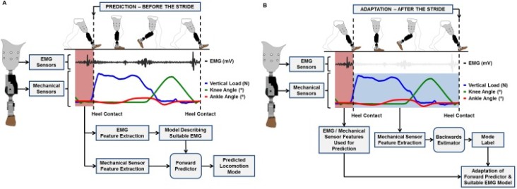 Adaptive system enhances robotic limb control – Physics World