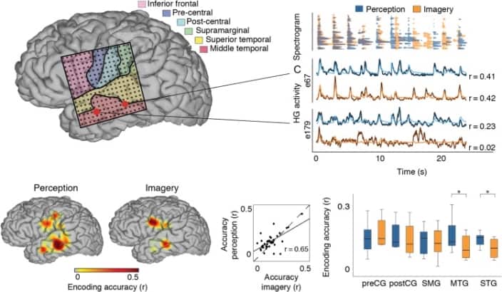 Decoding the brain activity of an imagined song – Physics World