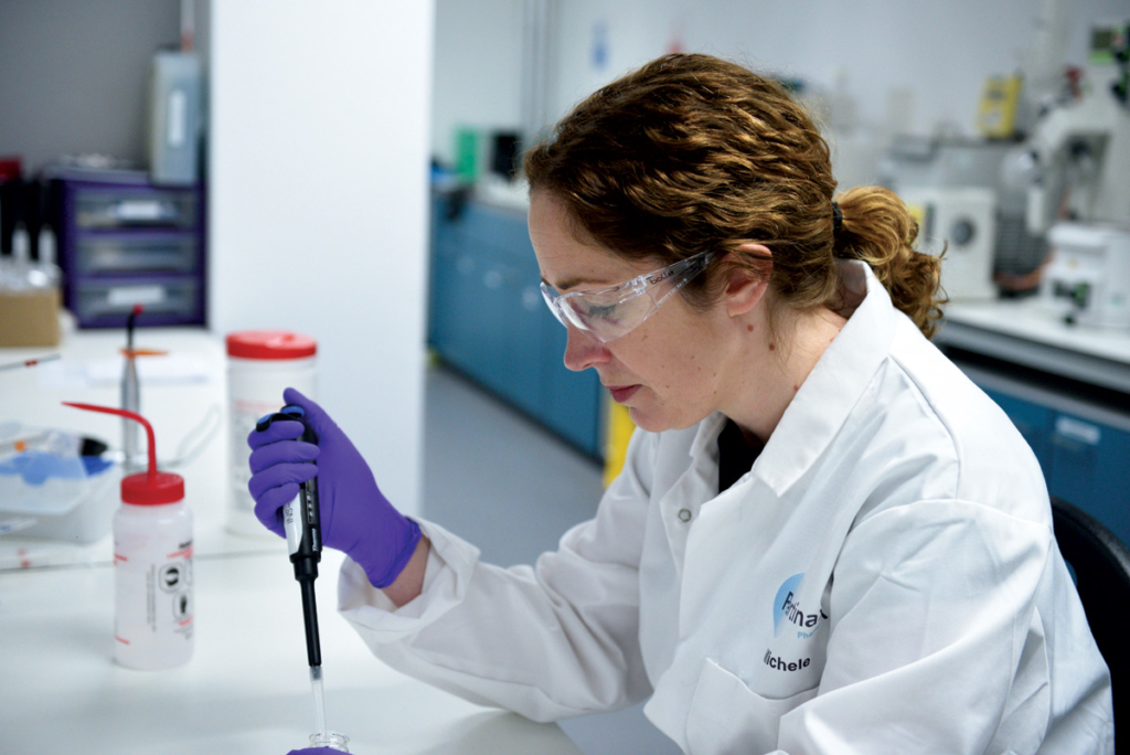 More than just teeth – Physics World