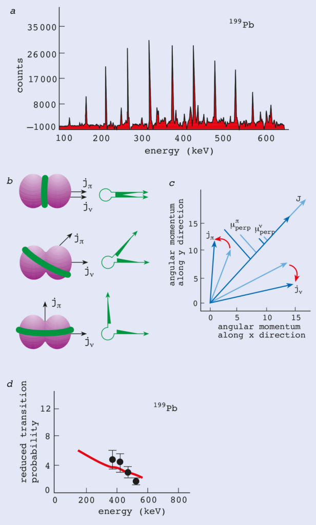 A new spin on nuclei – Physics World