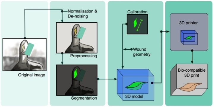 From photo, to 3D model, through to wound healing – Physics World
