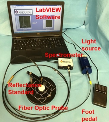 Optical spectroscopy senses tumour hypoxia – Physics World