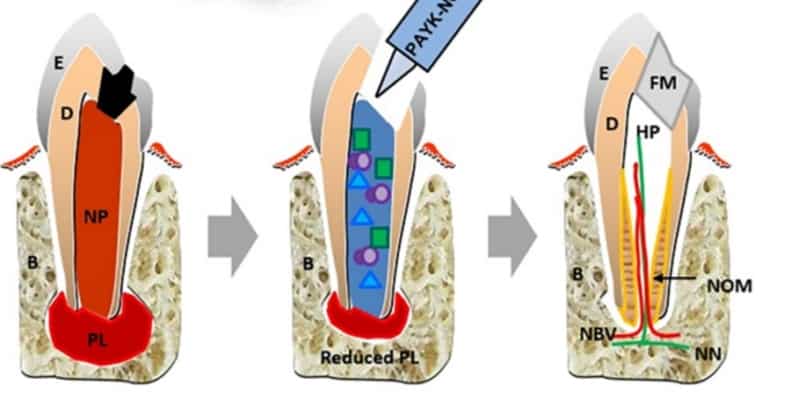 Hannah Behrens, Author at Physics World