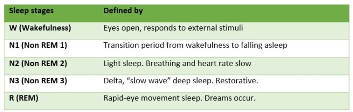 Simultaneous EEG and fMRI measure sleep 'inertia' – Physics World