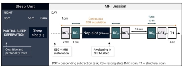 Simultaneous EEG and fMRI measure sleep 'inertia' – Physics World