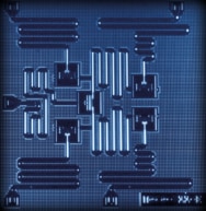 Playing games with quantum computers – Physics World