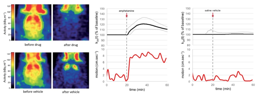 Open-field PET enables brain scans of rats in motion – Physics World