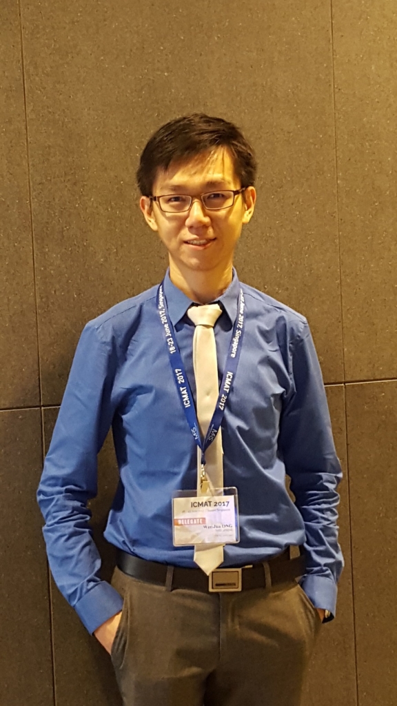 Nanoflowers harness sunlight – Physics World