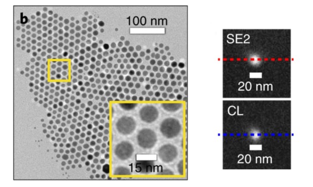 Nine nanoparticles for multicolour electron microscopy – Physics World