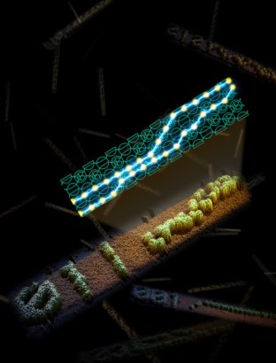 Reprogrammable self-assembly makes molecular computer – Physics World