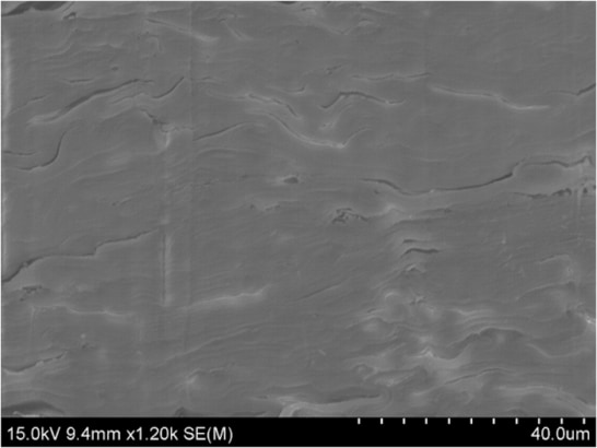 Delignified wood could help cool down buildings – Physics World
