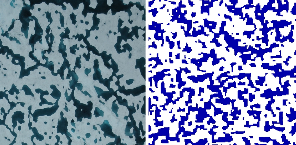 When is Arctic ice like a magnet? – Physics World