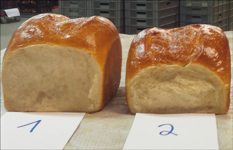 Vacuum keeps food fresh and cool from field to table – Physics World