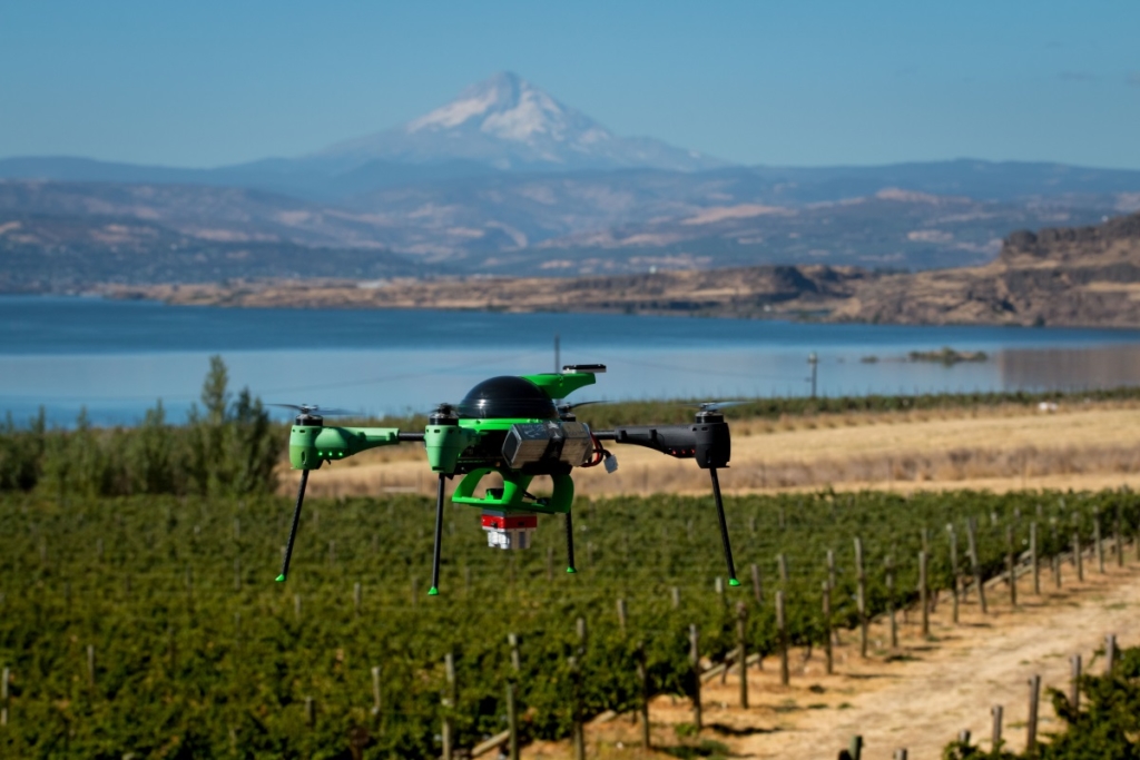 Multispectral imaging flies high to help boost crop yields – Physics World
