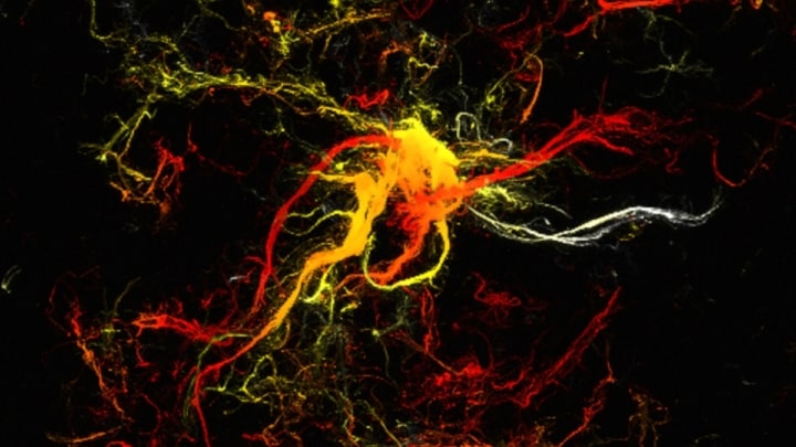 Shi En Kim, Author at Physics World