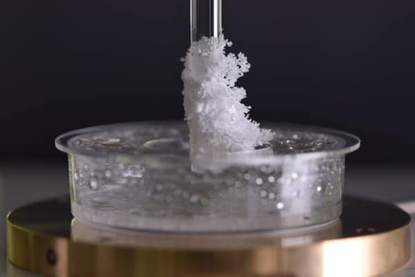 Self-amplifying crystallization produces a Christmas tree of salt ...