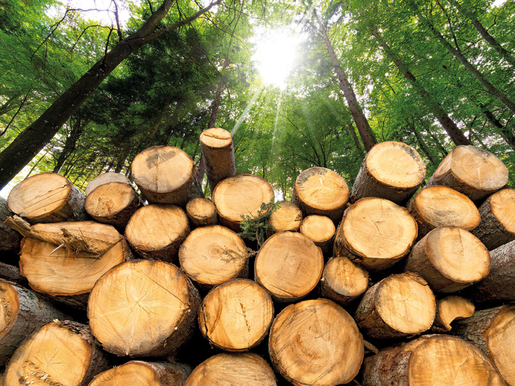 Why we need to tackle renewable energy's storage problem – Physics World