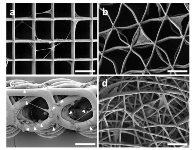 Precision scaffolds tailor biomaterials to promote wound healing – Physics World