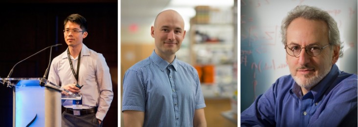 Bone marrow-on-a-chip models damage and disease – Physics World