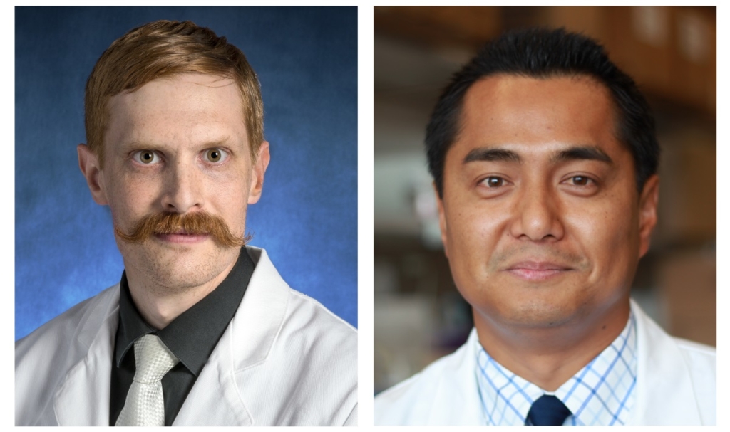 Stereotactic ablative radiation to metastases slows prostate cancer ...