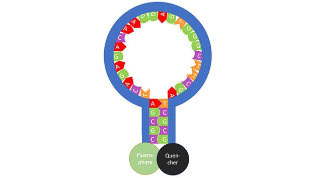 Edinburgh-Instruments-June-Whitepaper-Figure-1 – Physics World