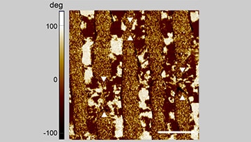 Park Systems IS-2 – Physics World