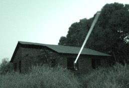 Lidar tracks mosquito behaviour by monitoring wingbeats – Physics World