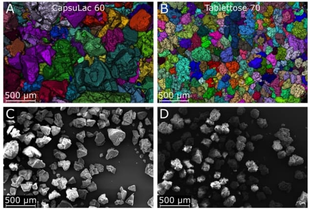Micro-CT enables first non-destructive characterization of asthma ...