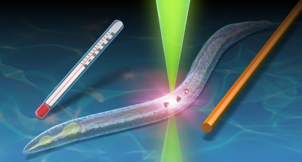 Thermometer uses Rydberg atoms to make calibration-free measurements ...