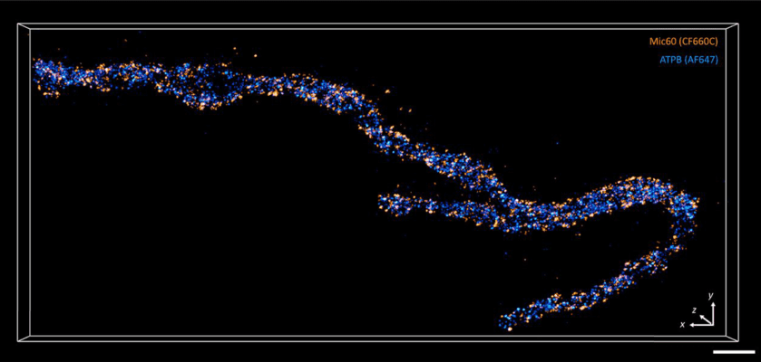 Optical microscopy – how small can it go? – Physics World
